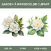 Free Gardenia Watercolor Clip Arts PNG - Payhip