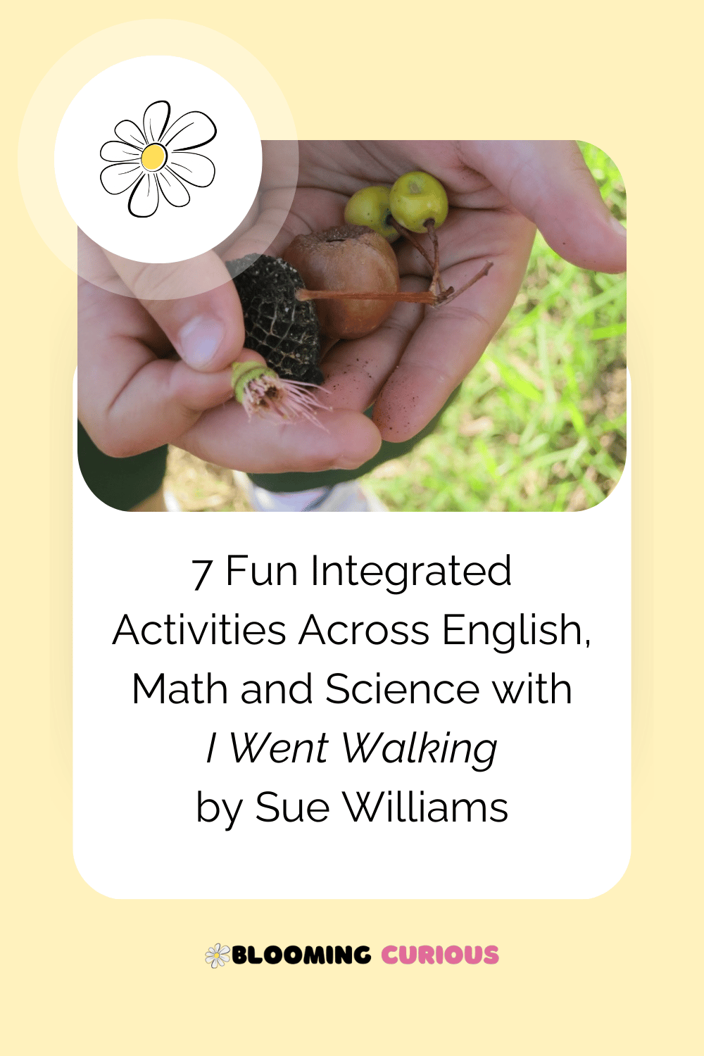 7 Fun Integrated Learning Activities Using I went Walking by Sue ...