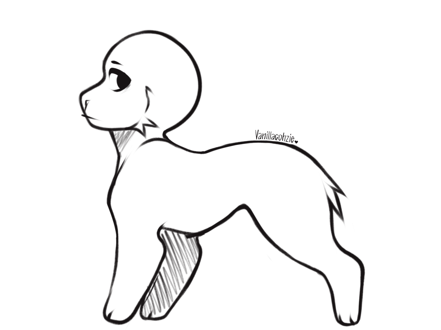 P2U canine base - Payhip
