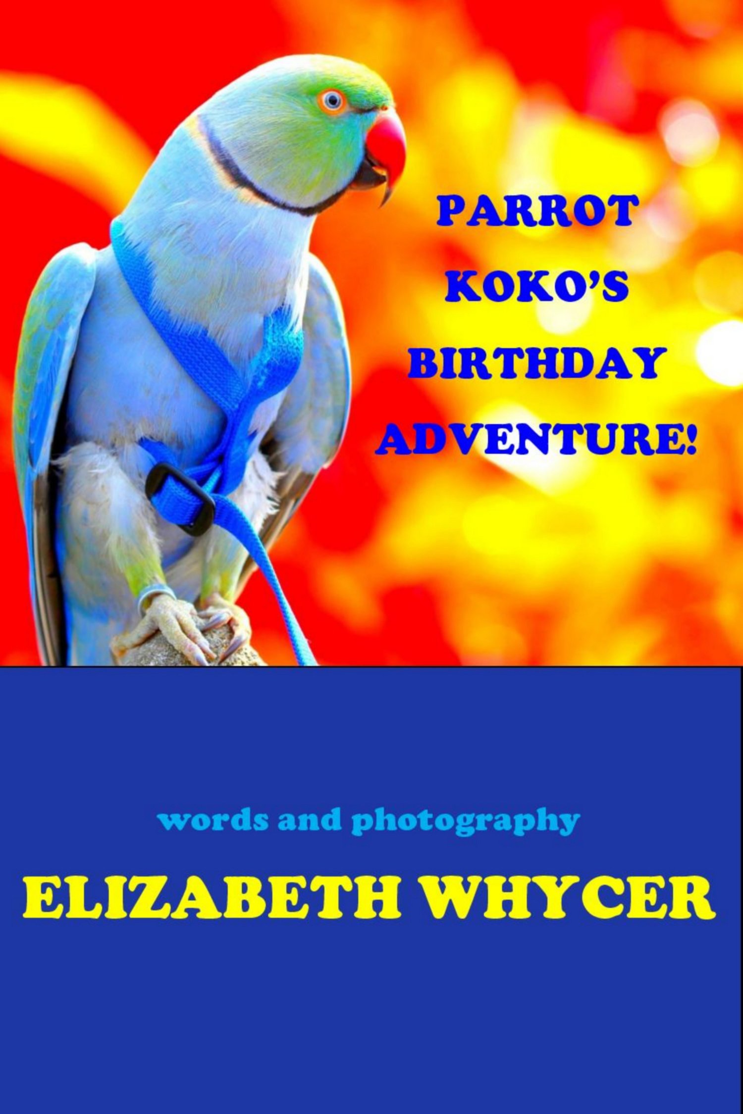 PARROT KOKO'S BIRTHDAY ADVENTURE! - Payhip