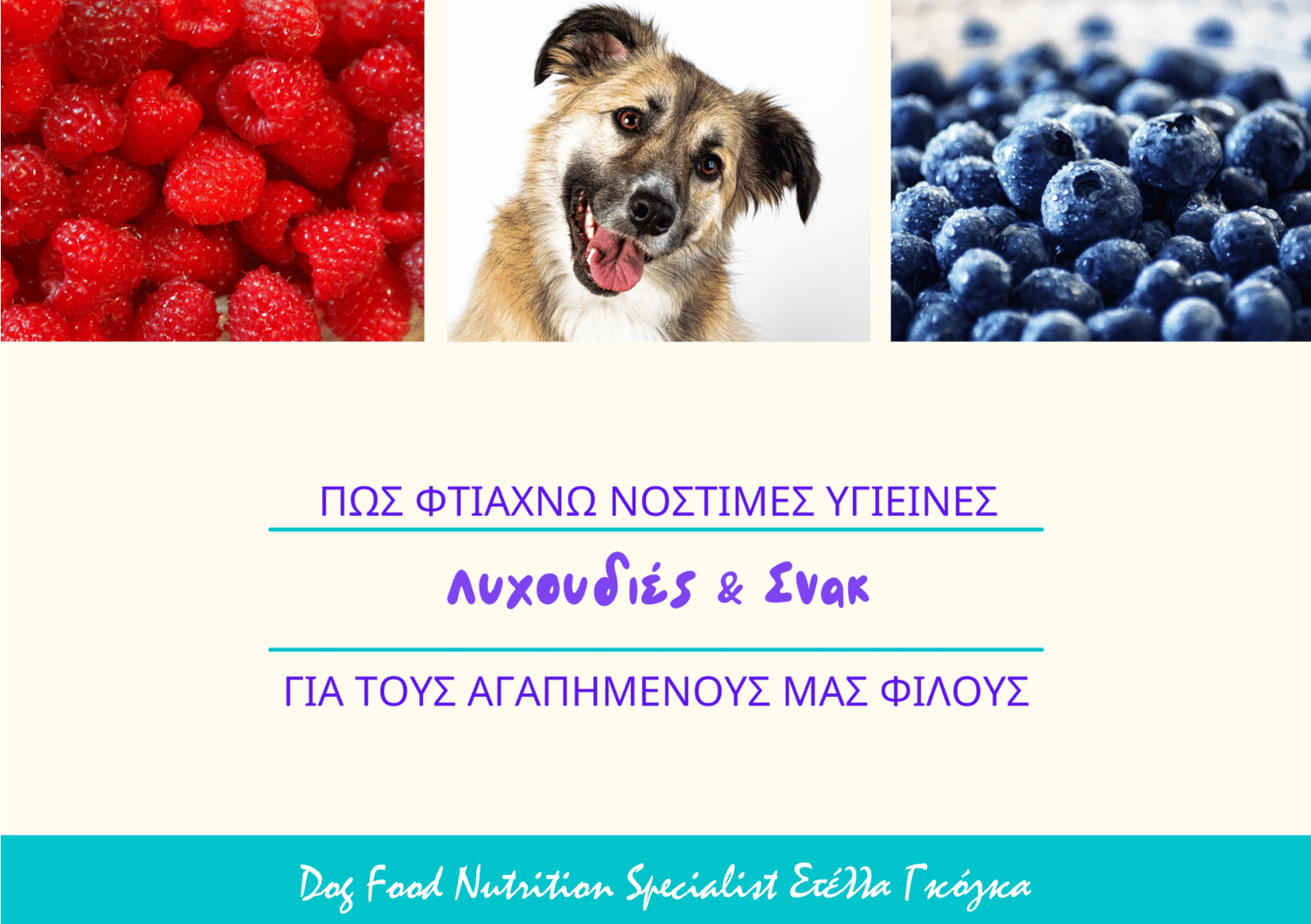 Animal Wellness Door Payhip