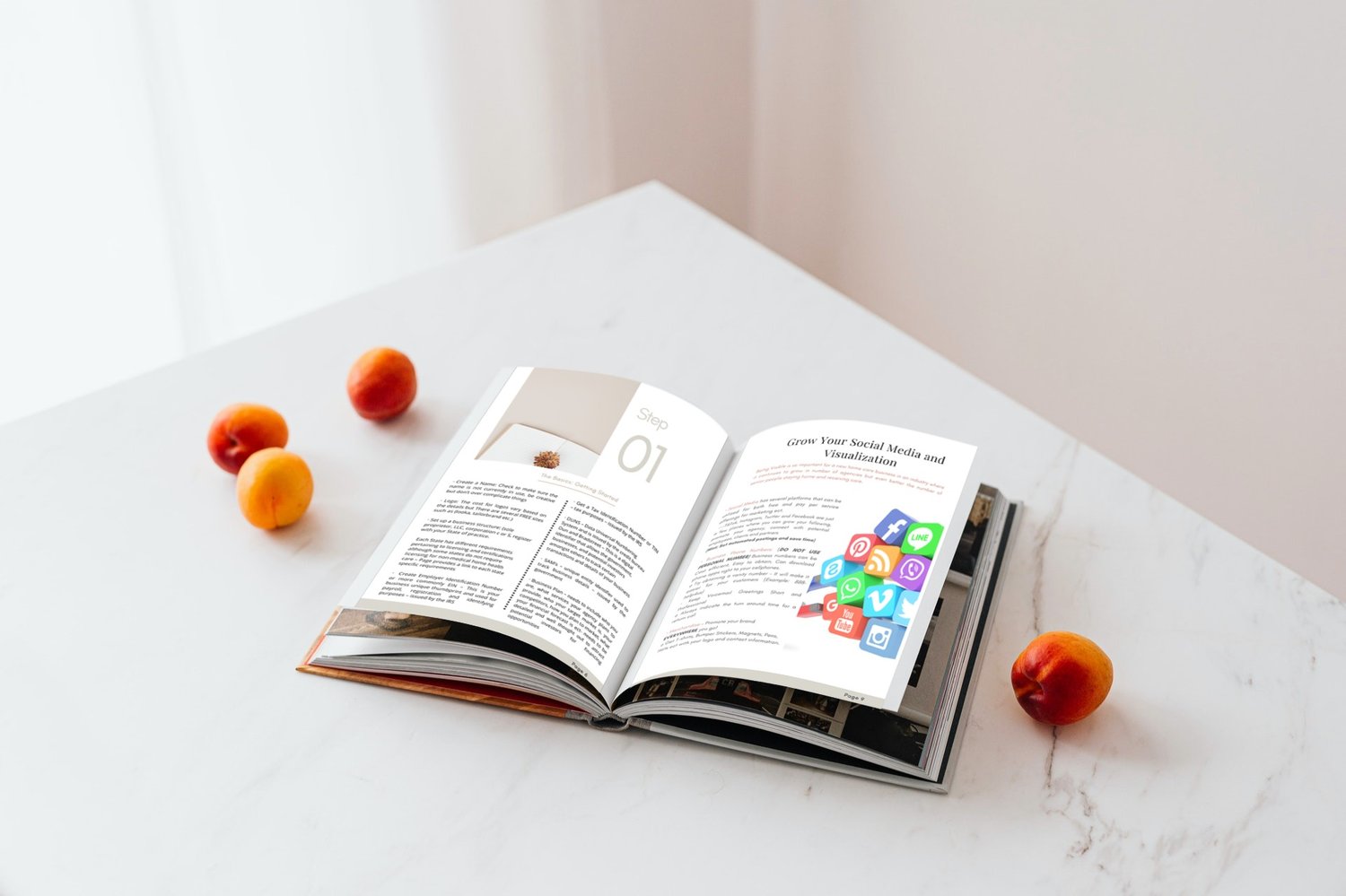 Guide to Launching and growing a 6-figure Home Care Business - Payhip