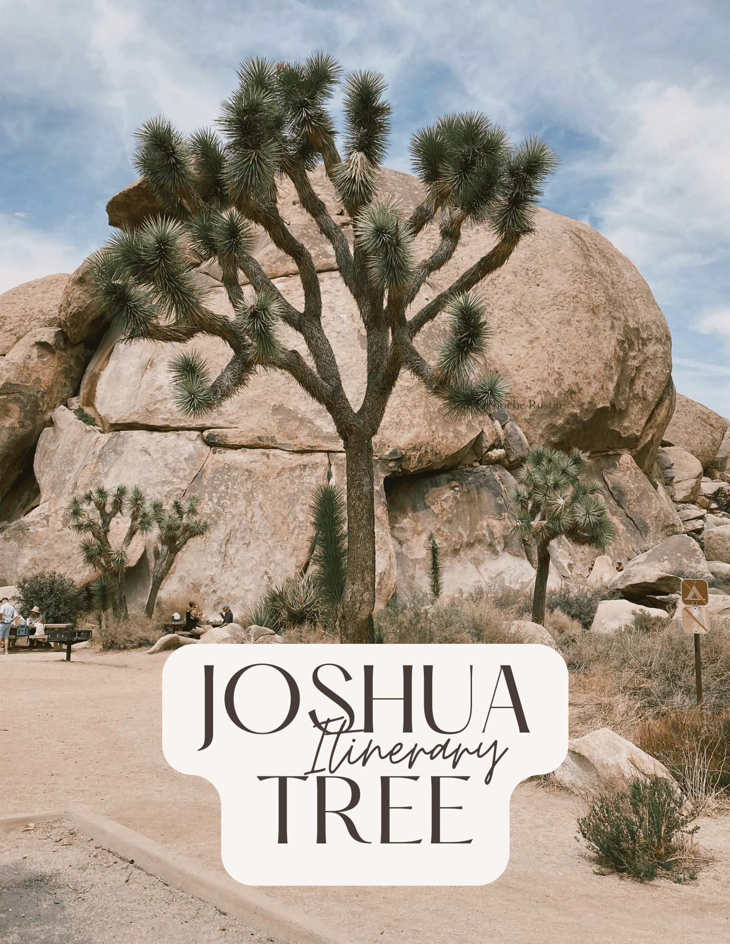 Joshua Tree Itinerary *Dog-Friendly* - Payhip