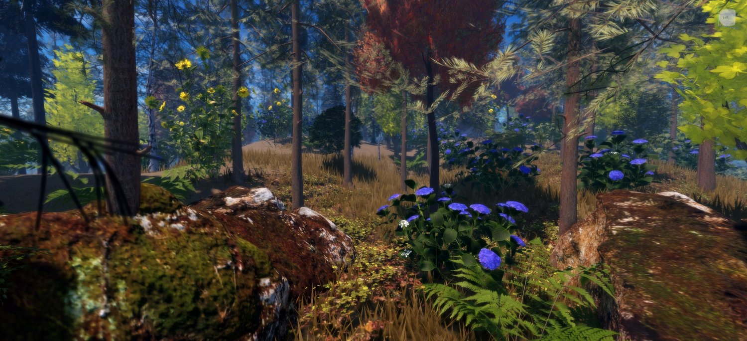 D&M Production - Roblox Maps