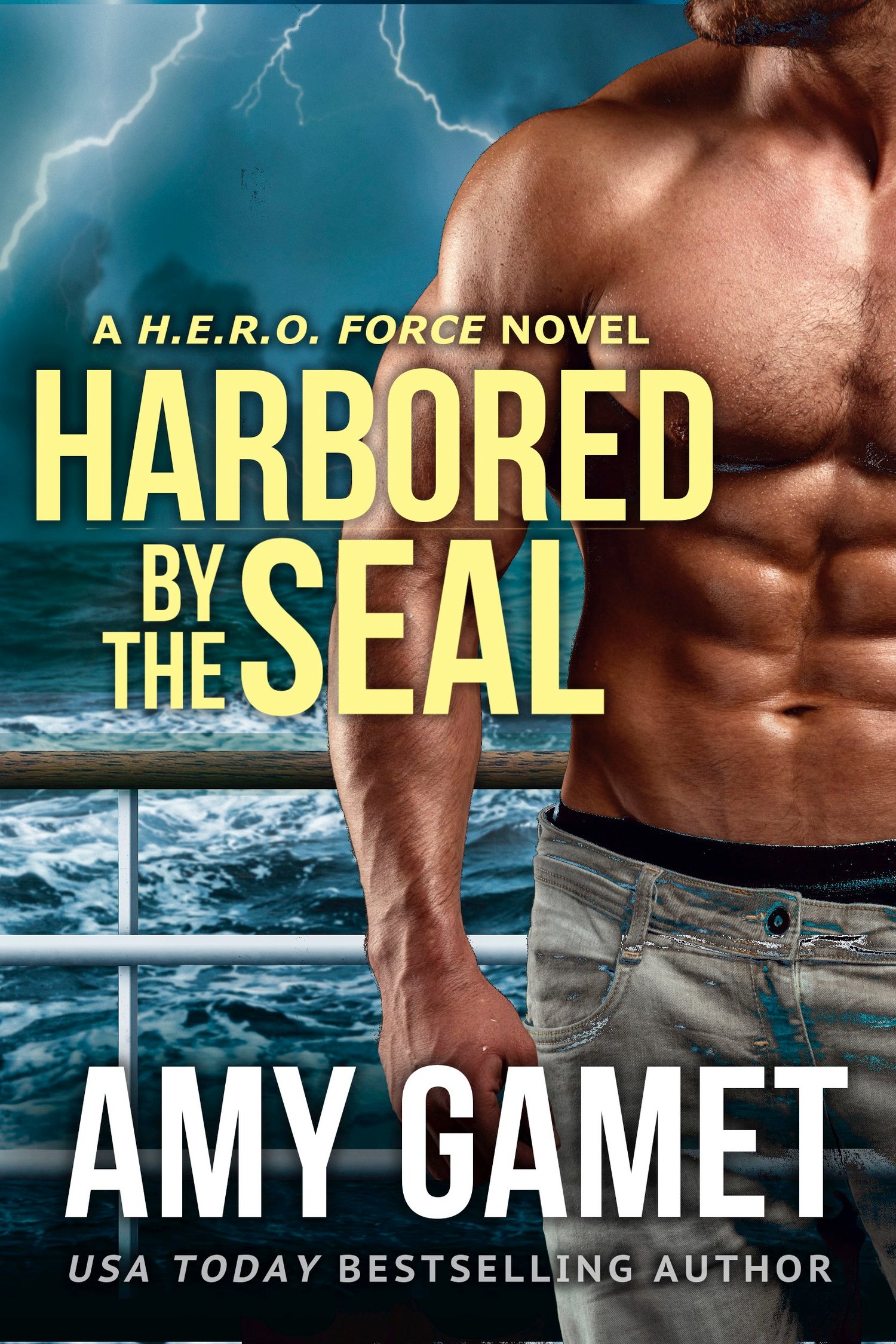 Forever with the SEAL (HERO Force Book 8) - Payhip