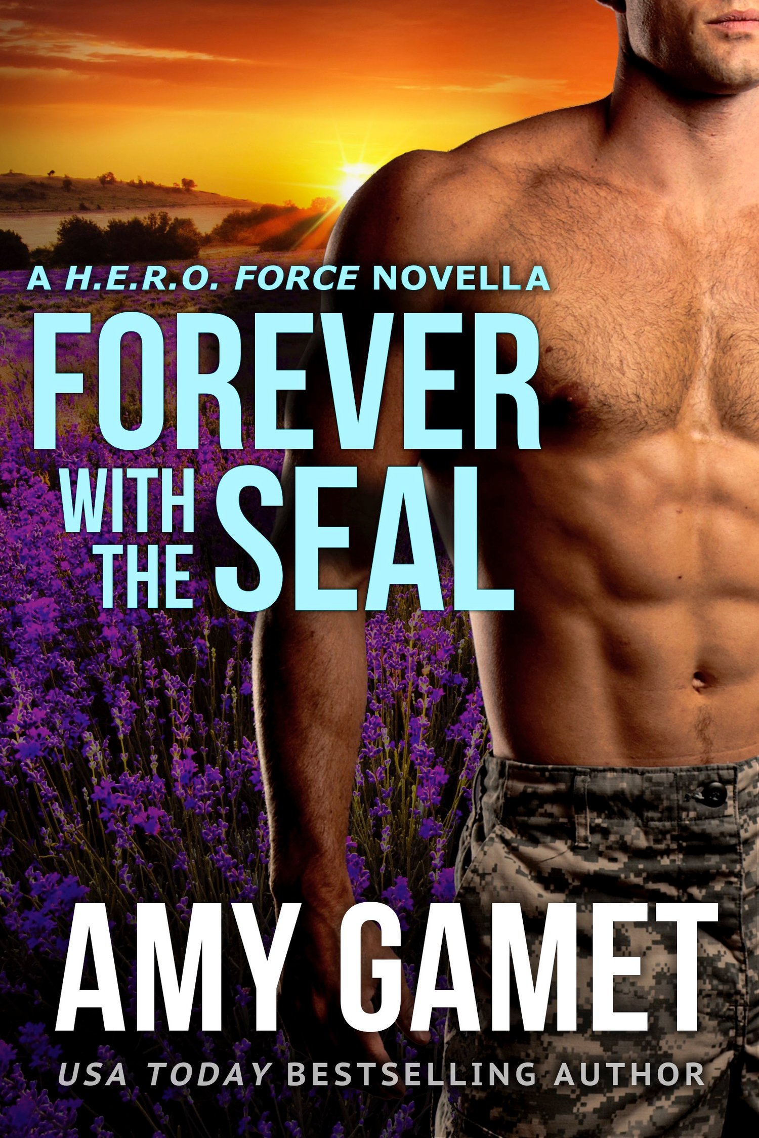 Kidnapped by the SEAL (HERO Force Book 7) - Payhip