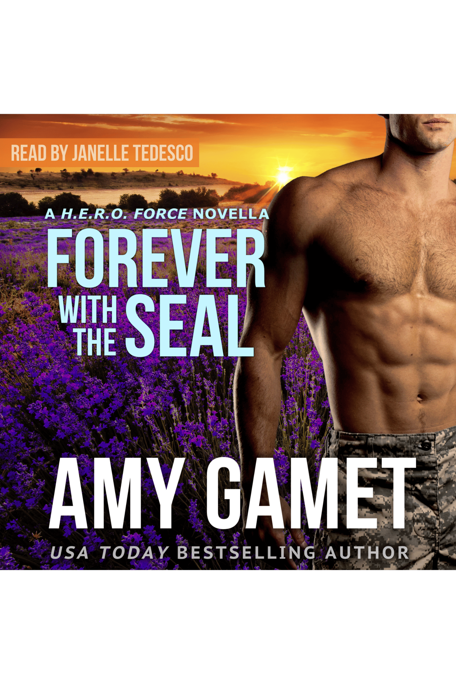 Married to the SEAL Audiobook (HERO Force Book 4) - Payhip