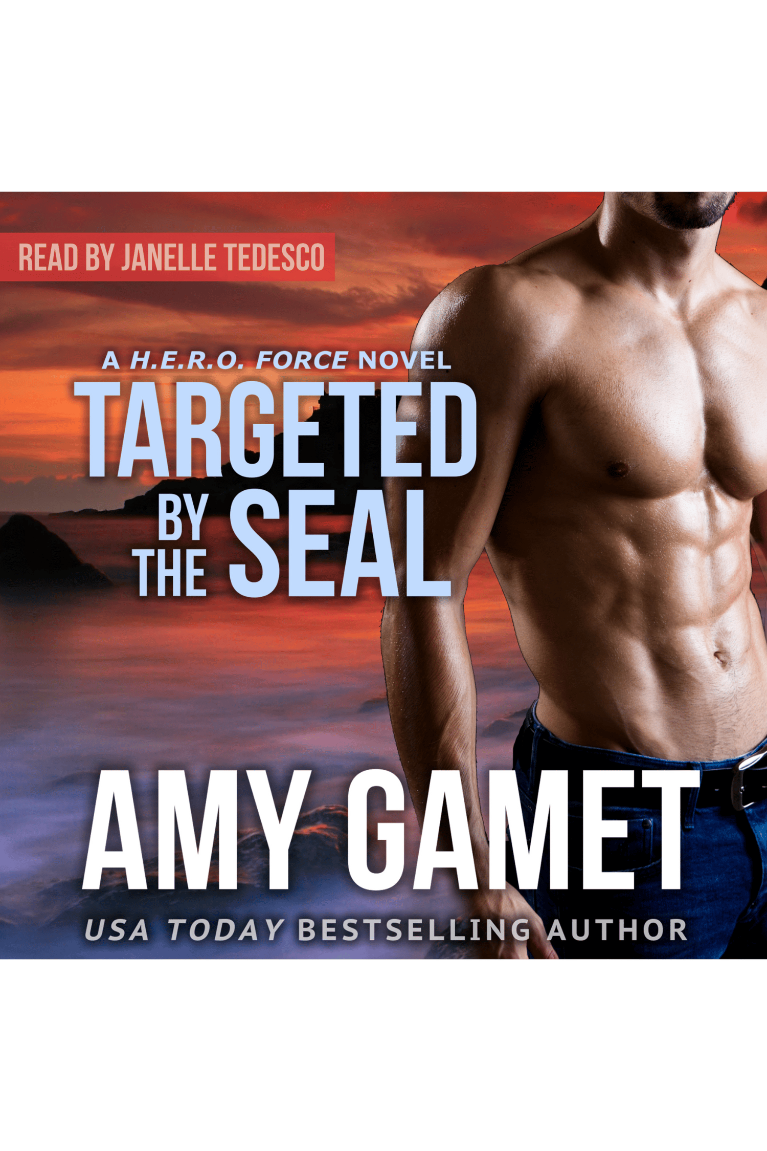 Harbored by the SEAL Audiobook (HERO Force Book 3) - Payhip