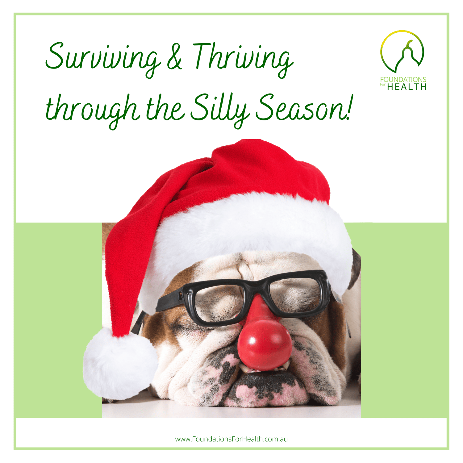 Surviving & Thriving Through the Silly Season Guide - Payhip