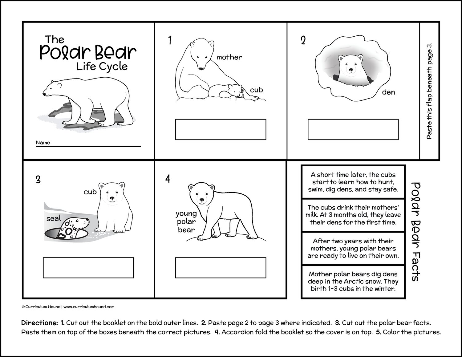 Polar Bear Labeling Diagram & More