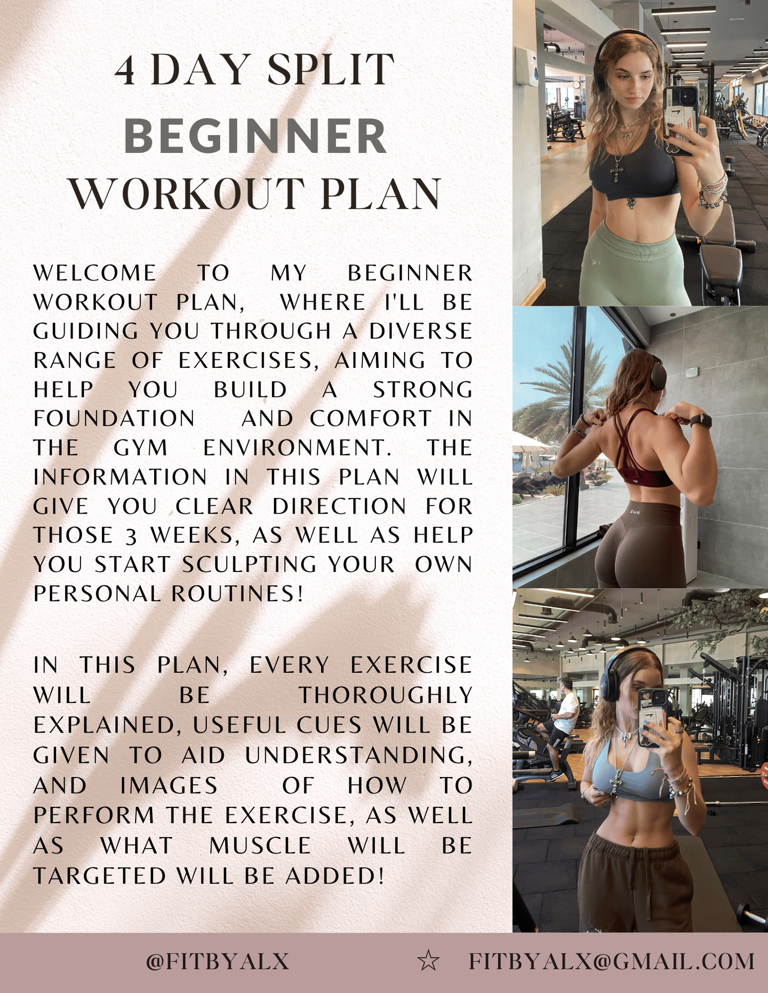 BEGINNER WORKOUT PLAN - Payhip