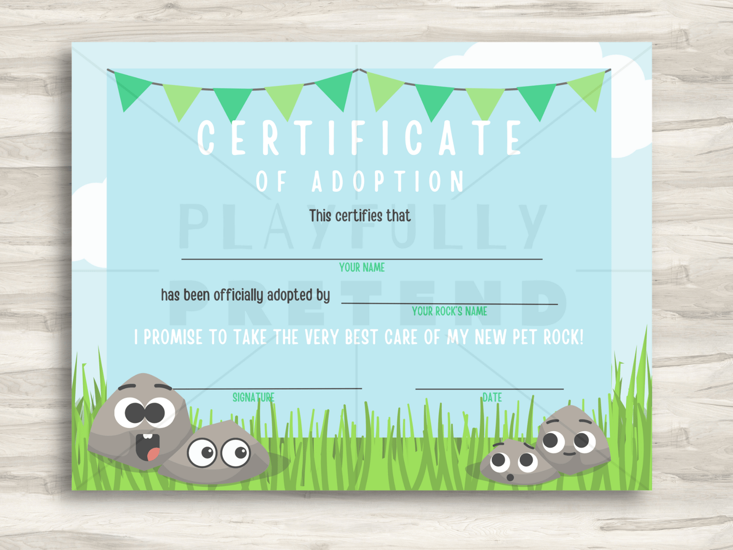 Pet Rock Adoption And Writing Activity - Payhip