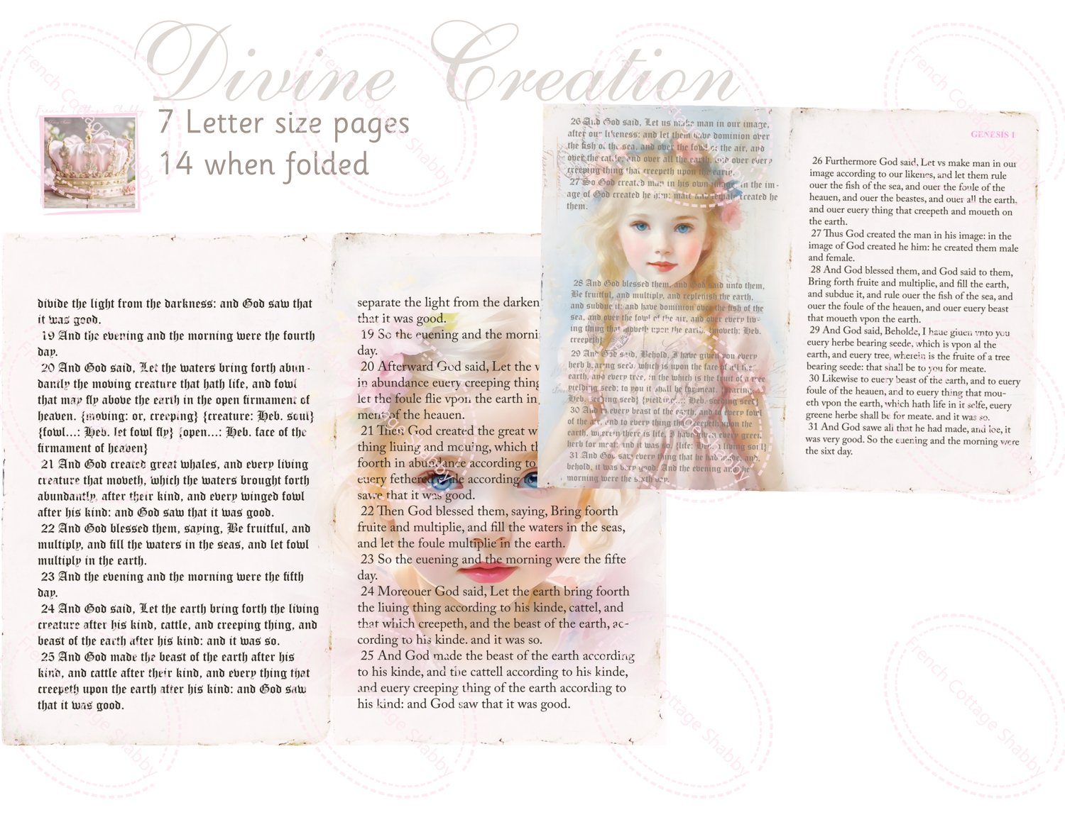 Divine Creation: A collection of beautifully crafted pages from The ...