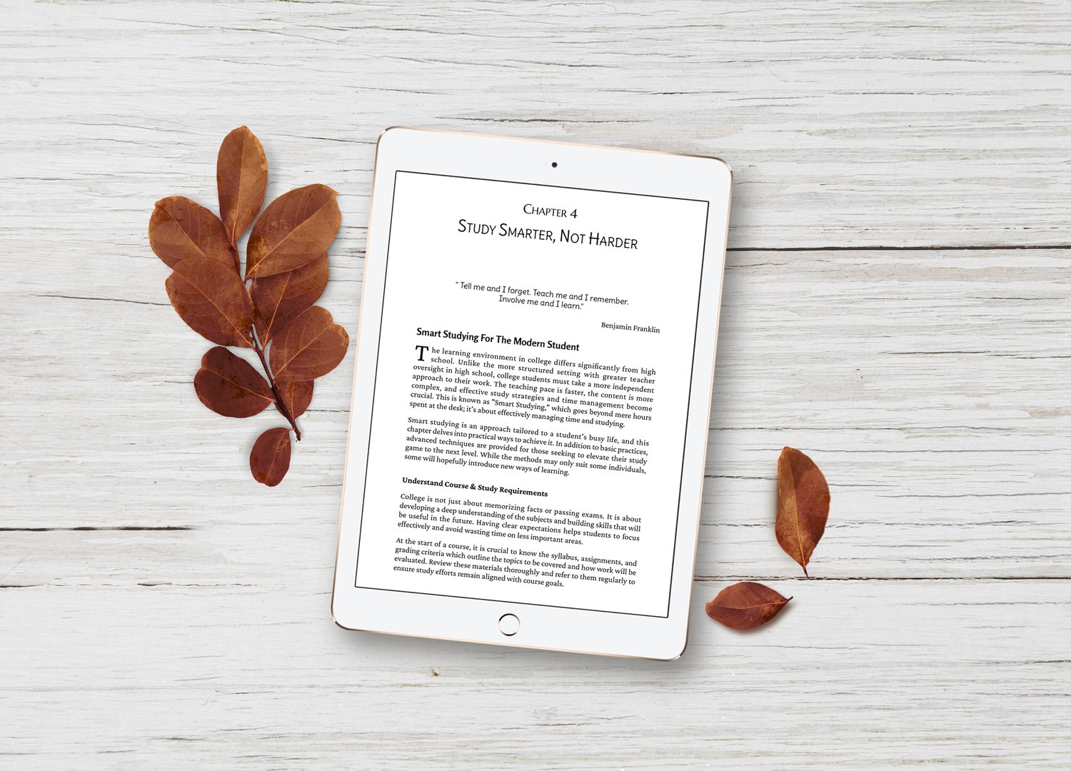 The Essential First-Year Student Survival Guide on How to Thrive at ...