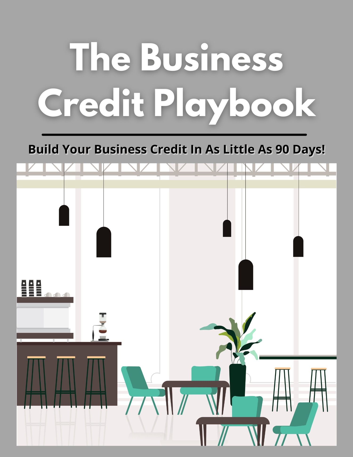 The Business Credit Playbook - Payhip