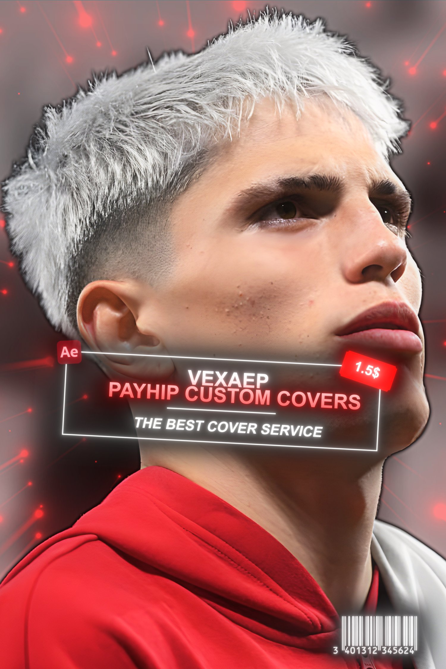 VEX.AEP'S CUSTOM COVERS - Payhip