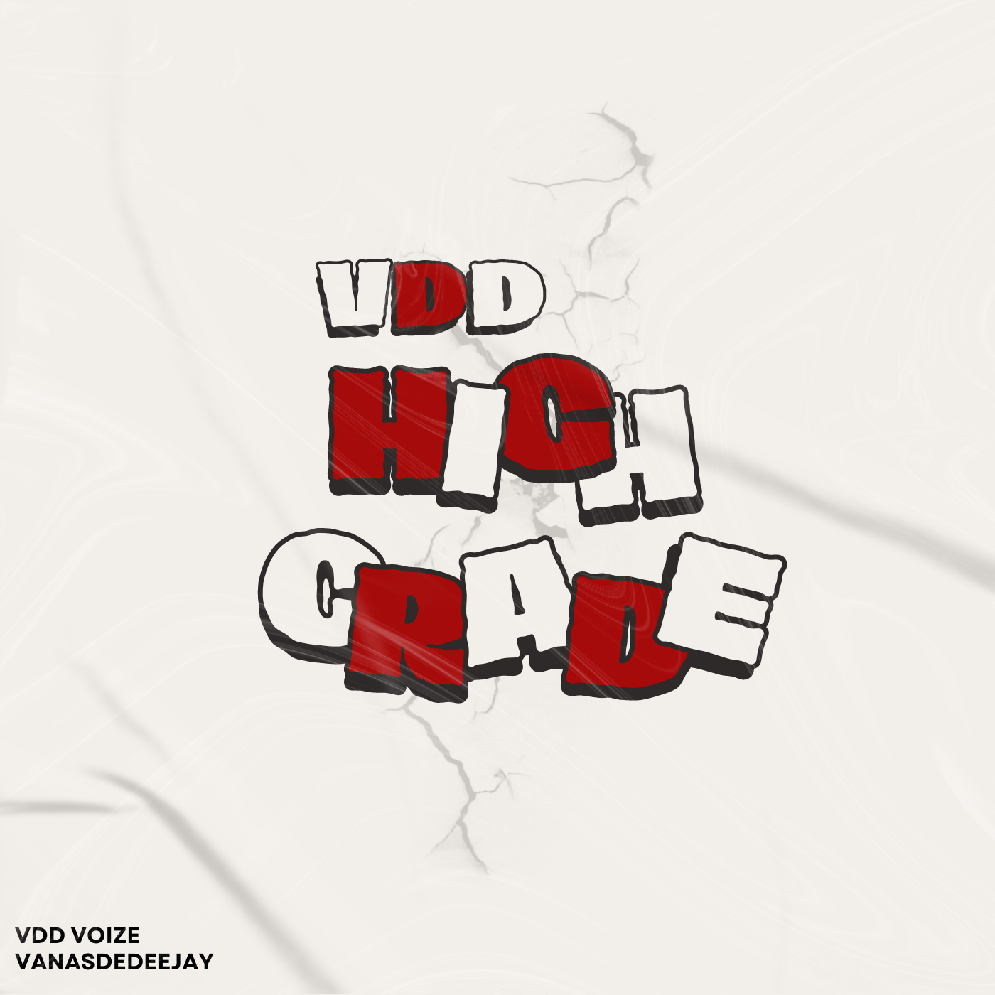 VDD VOIZE
