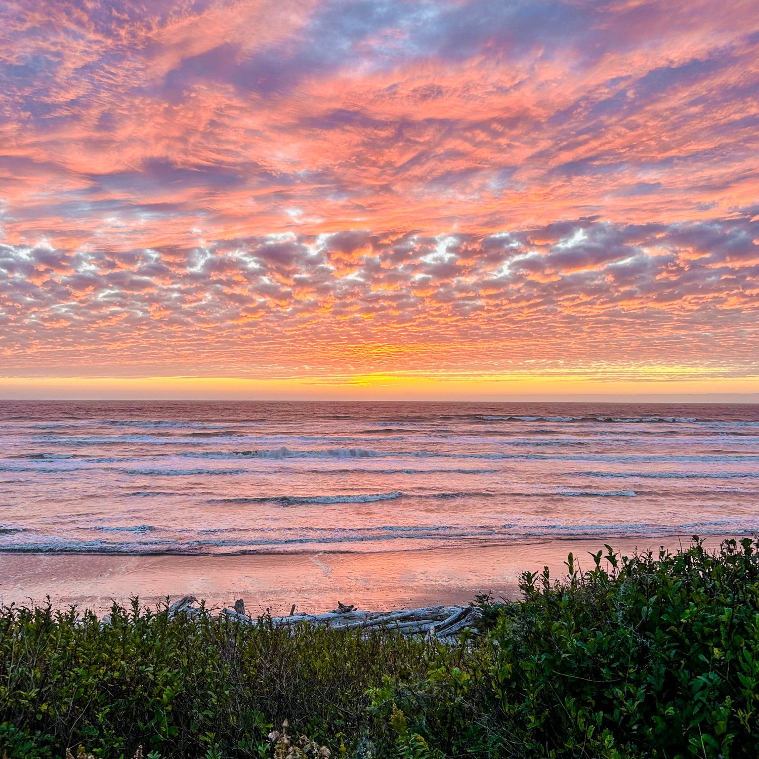 NEW RELEASE: Where the Sun Meets the Sea