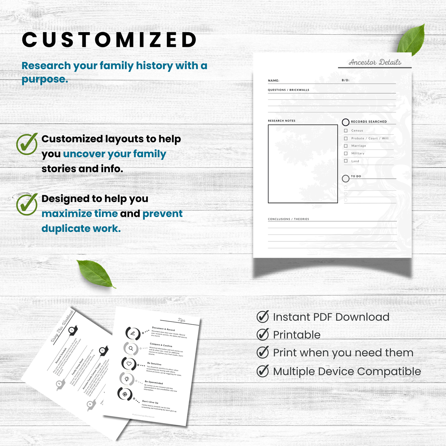 My Genealogy Workbook - A Printable Family History Ancestry Genealogy ...