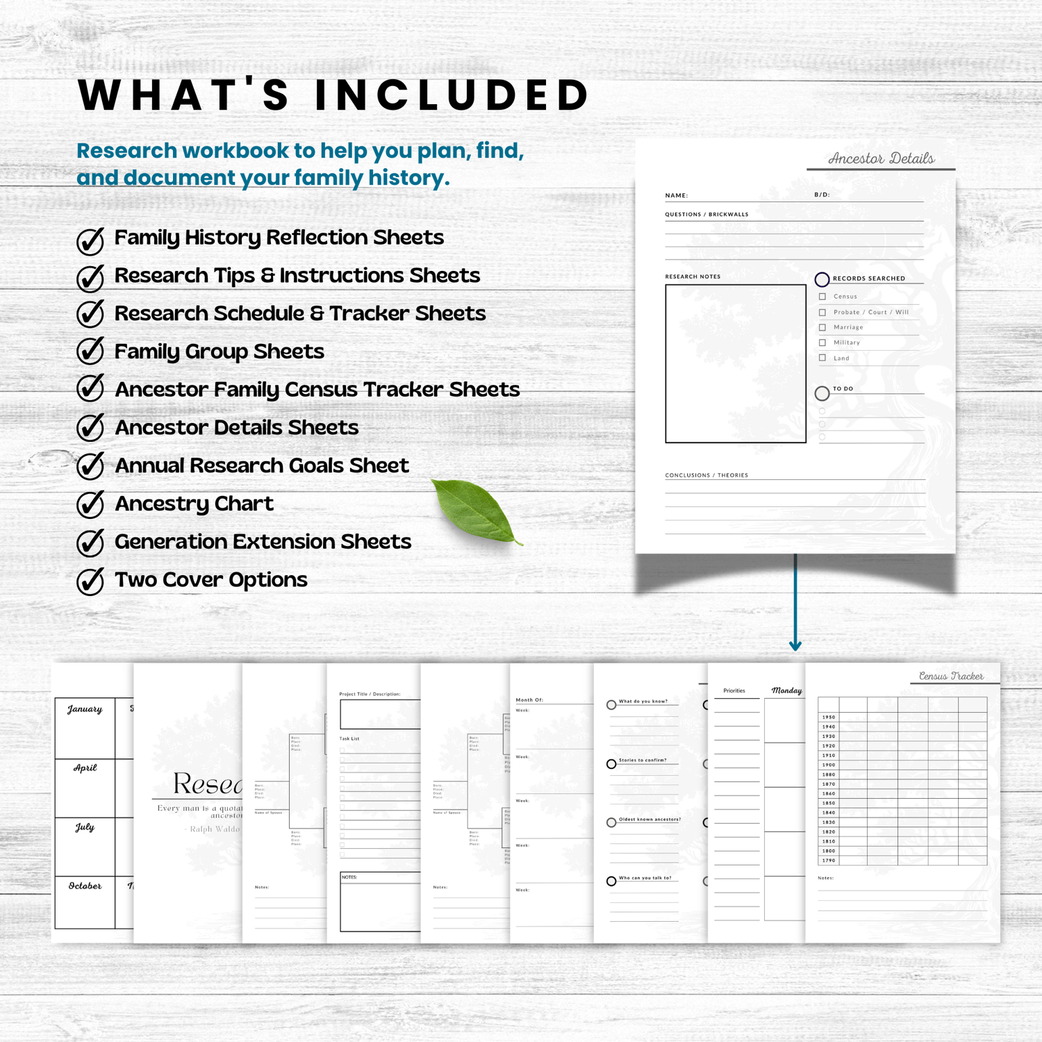 My Genealogy Workbook - A Printable Family History Ancestry Genealogy ...