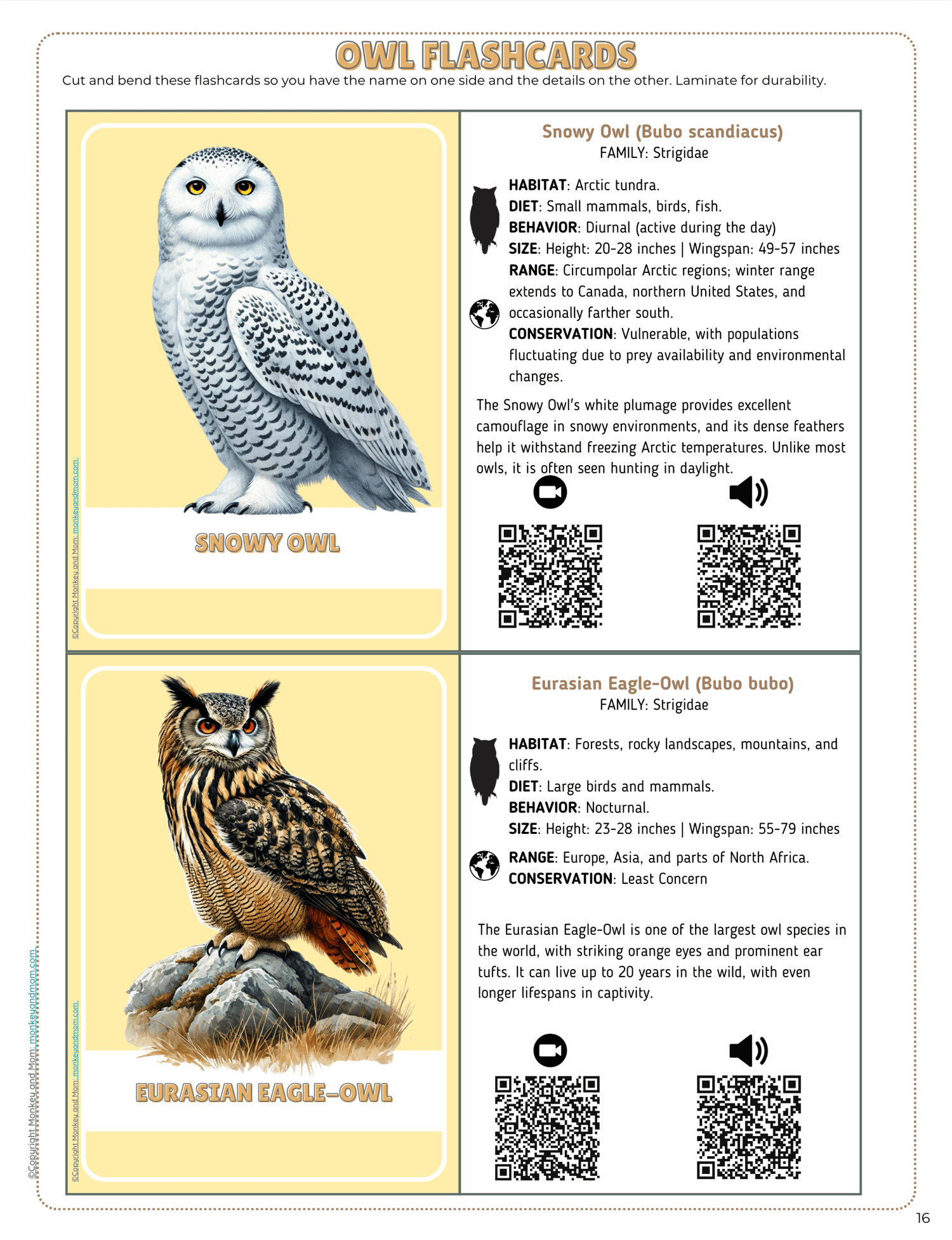 Owls Unit Study for Very Curious Kids