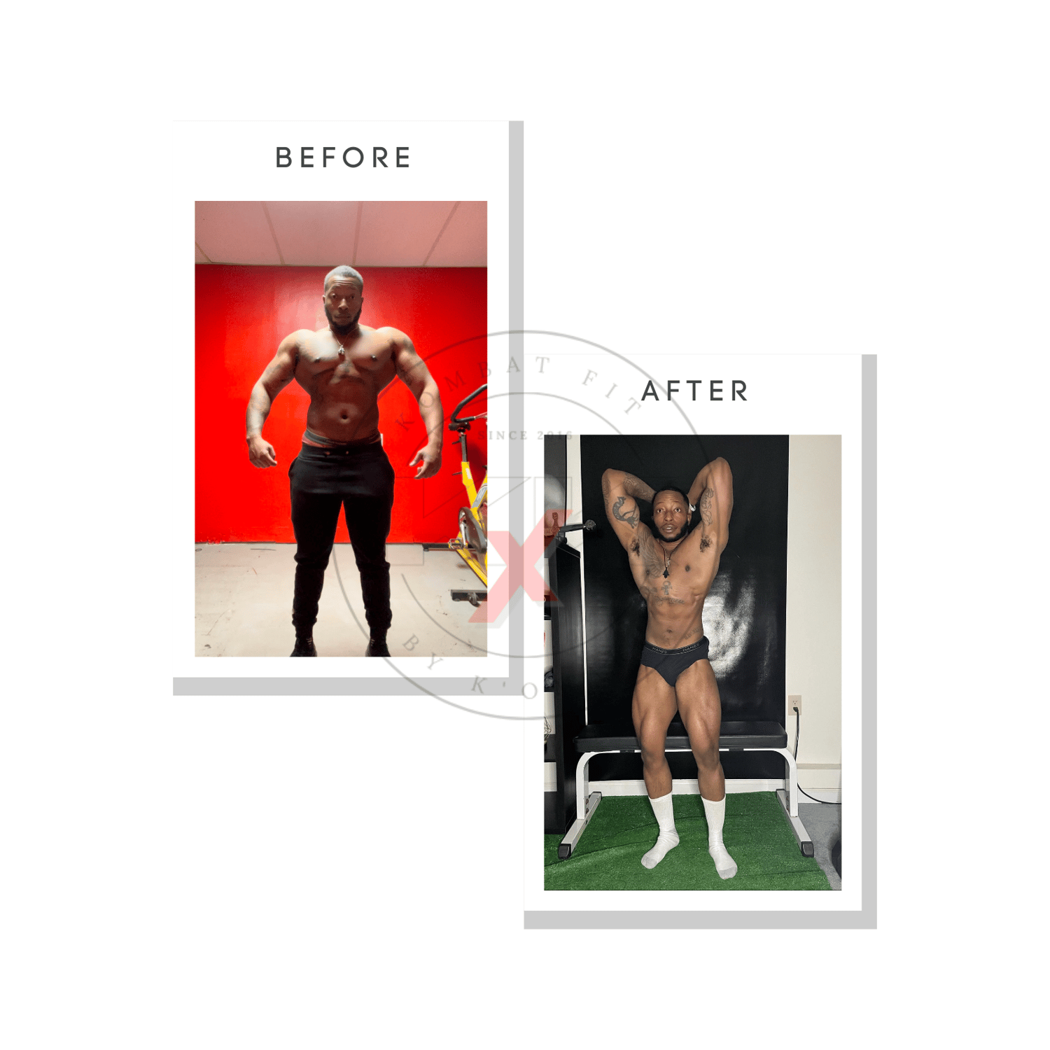 Authentic Muscle Series Course Bundle - Payhip