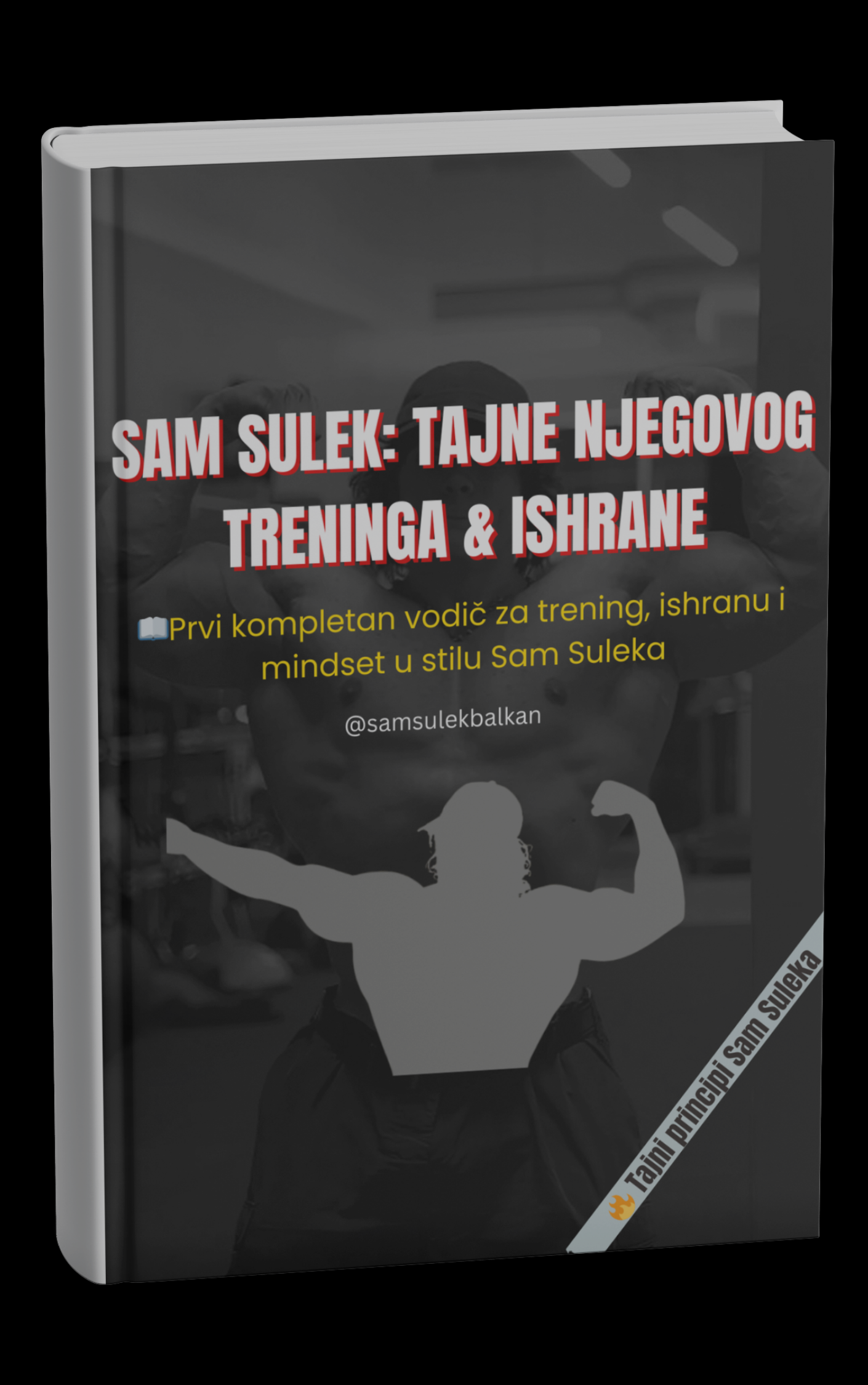 Sam Sulek stil treninga ishrane i mindset-a - Payhip