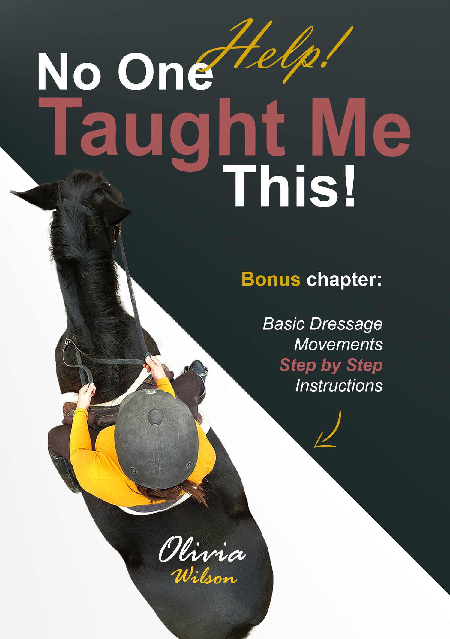 Help! No One Taught Me This - Payhip