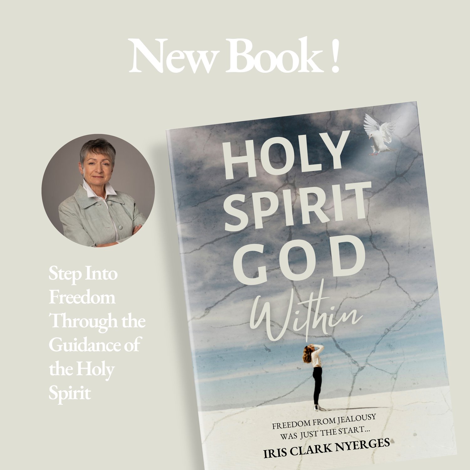 Holy Spirit God Within Book