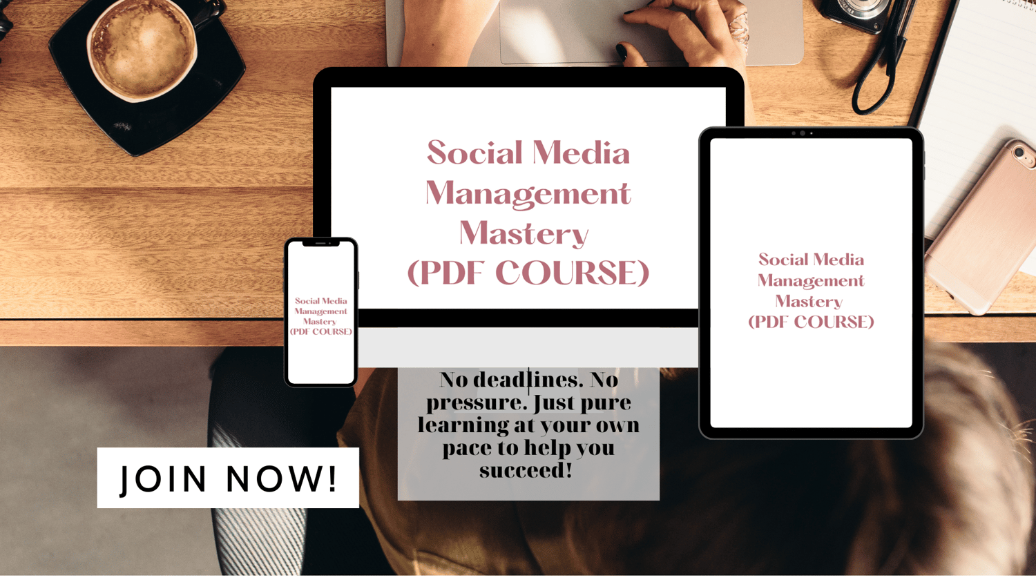 Social Media Success Blueprint: Manage, Grow & Monetize Your Brand - Payhip