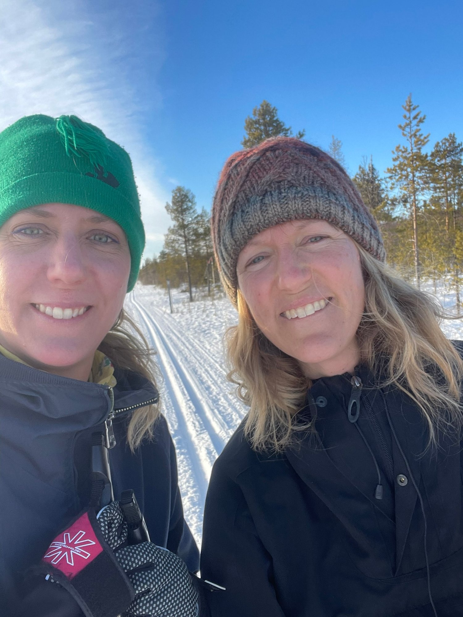 Hello Freedom! - An Introduction to the Work - Payhip