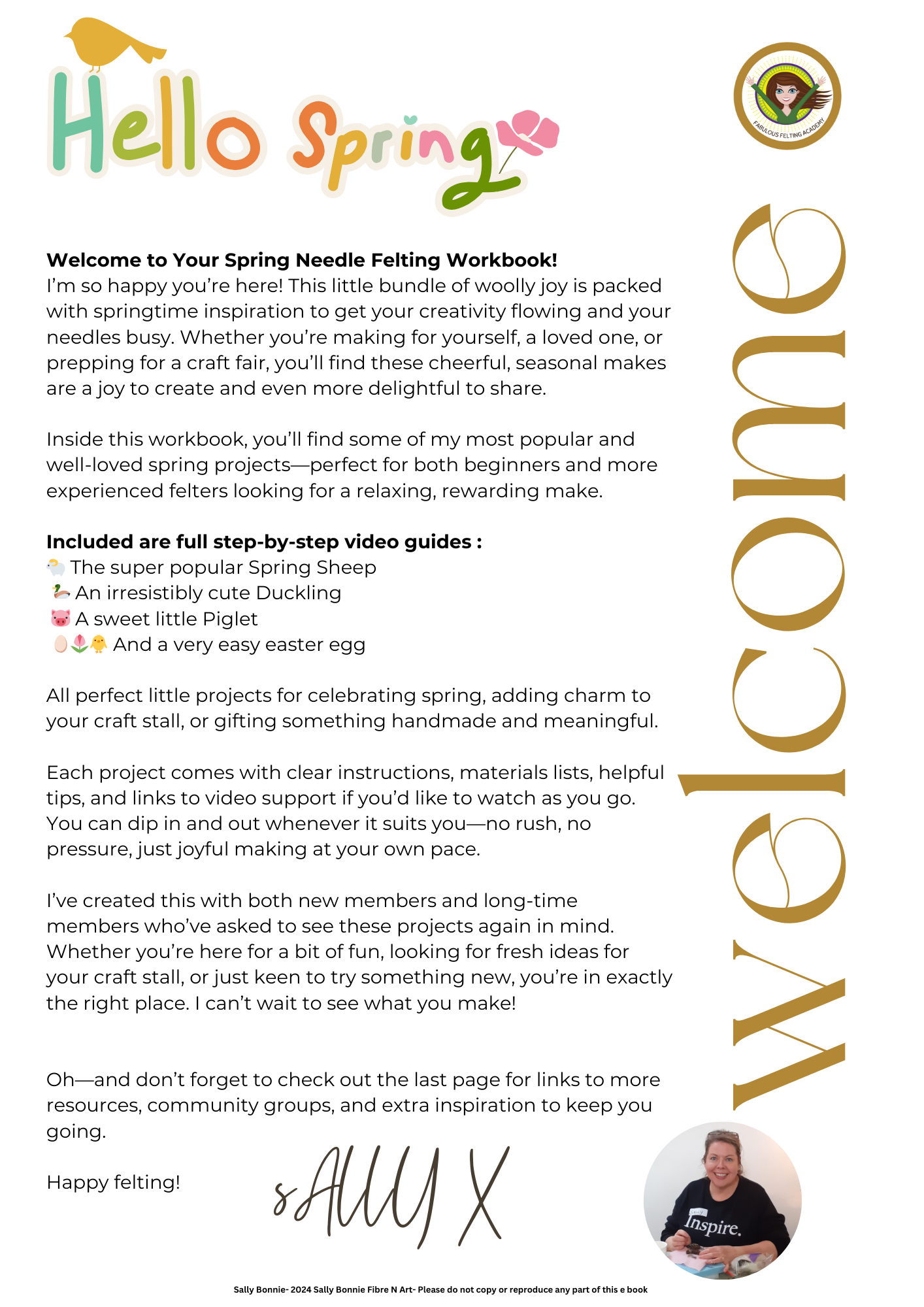 Sally Bonnie Fibre N Art - Free Needle Felting on-line Workshops