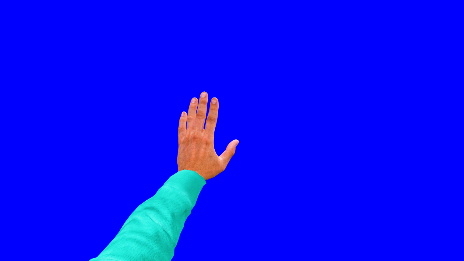 Wait Hand Gesture