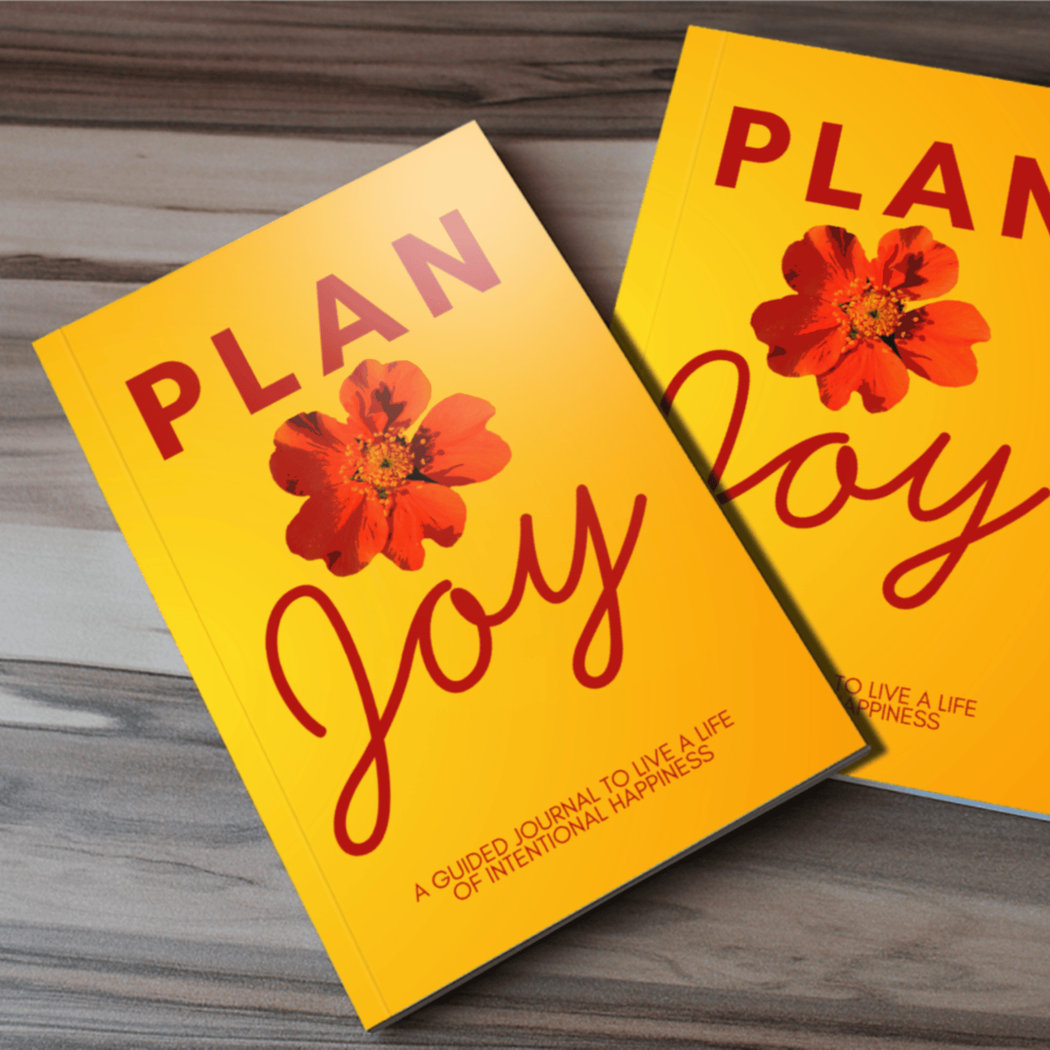 TEMPLATE: Classic Chapter Book (Inside Pages) Word Template