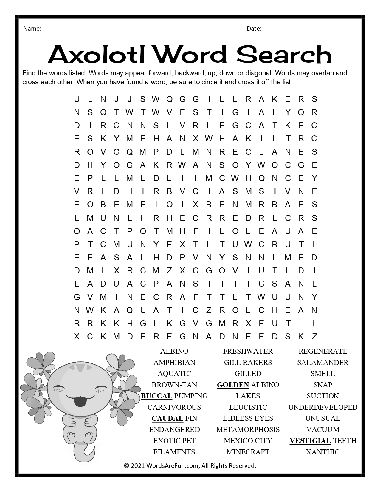 Axolotl Word Search & Coloring Page – Fun Printable Science Activity ...
