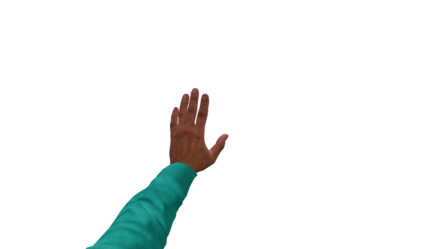 Wait Hand Gesture