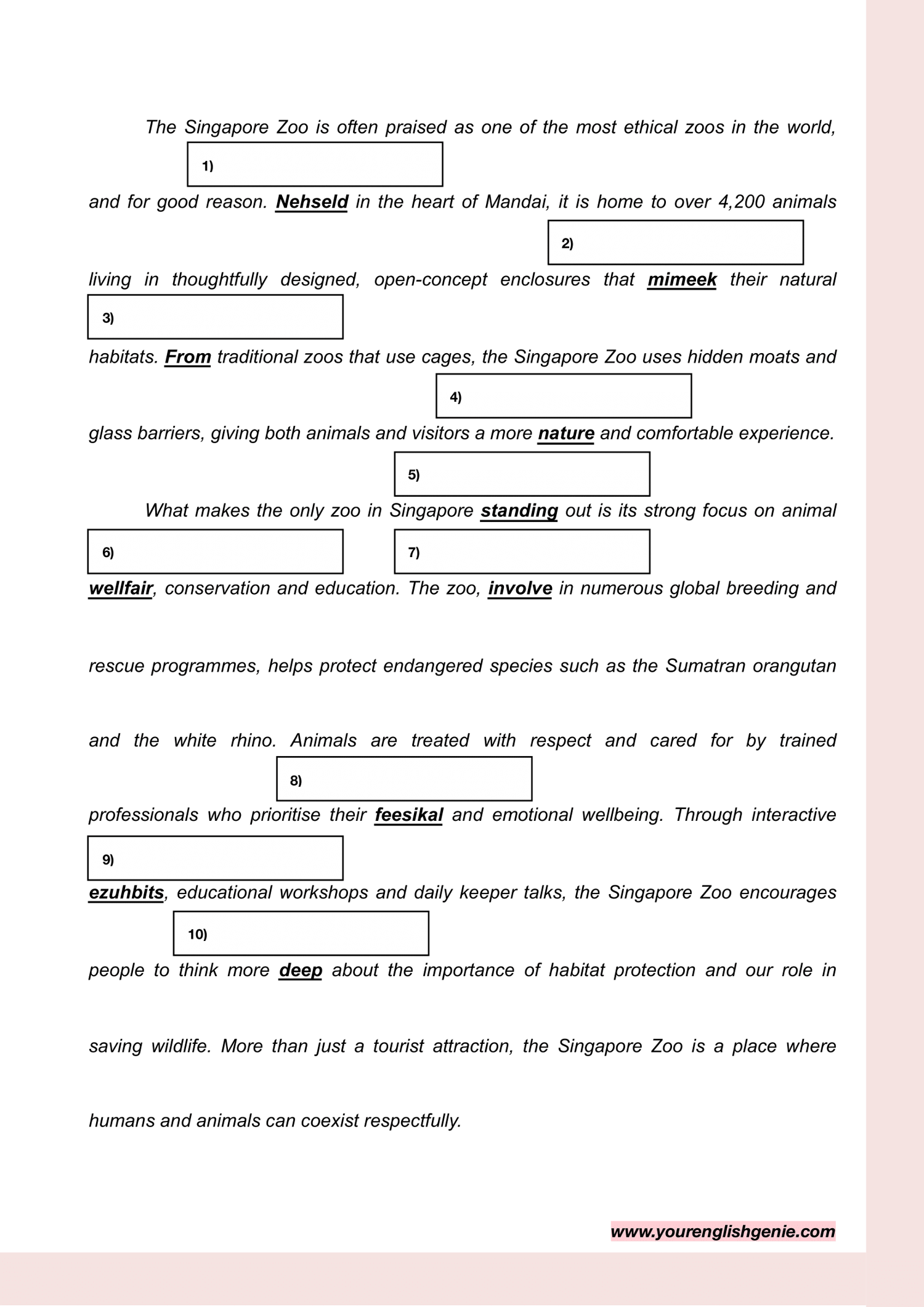 June Sprint to PSLE English (Part 2): Editing