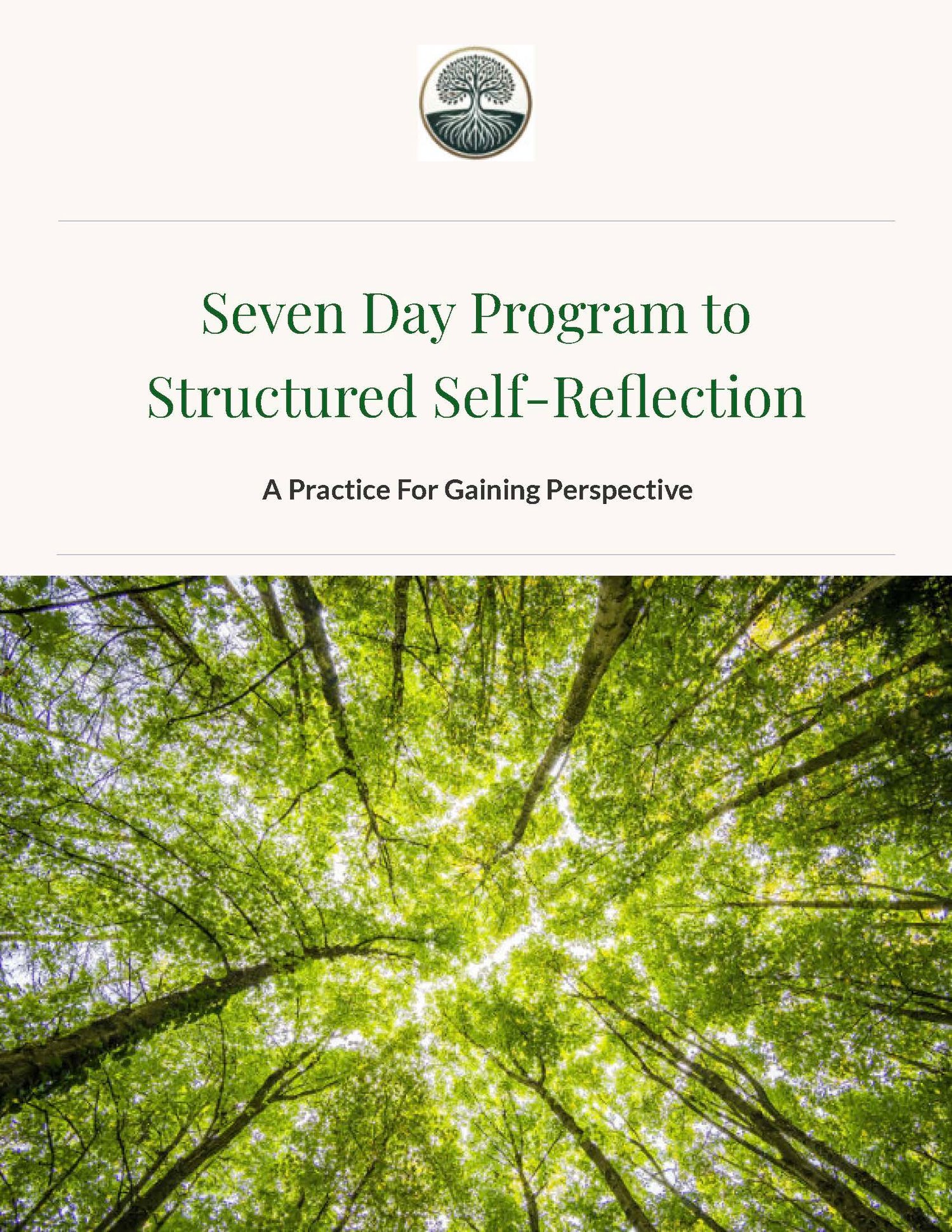 Structured Reflection Practice