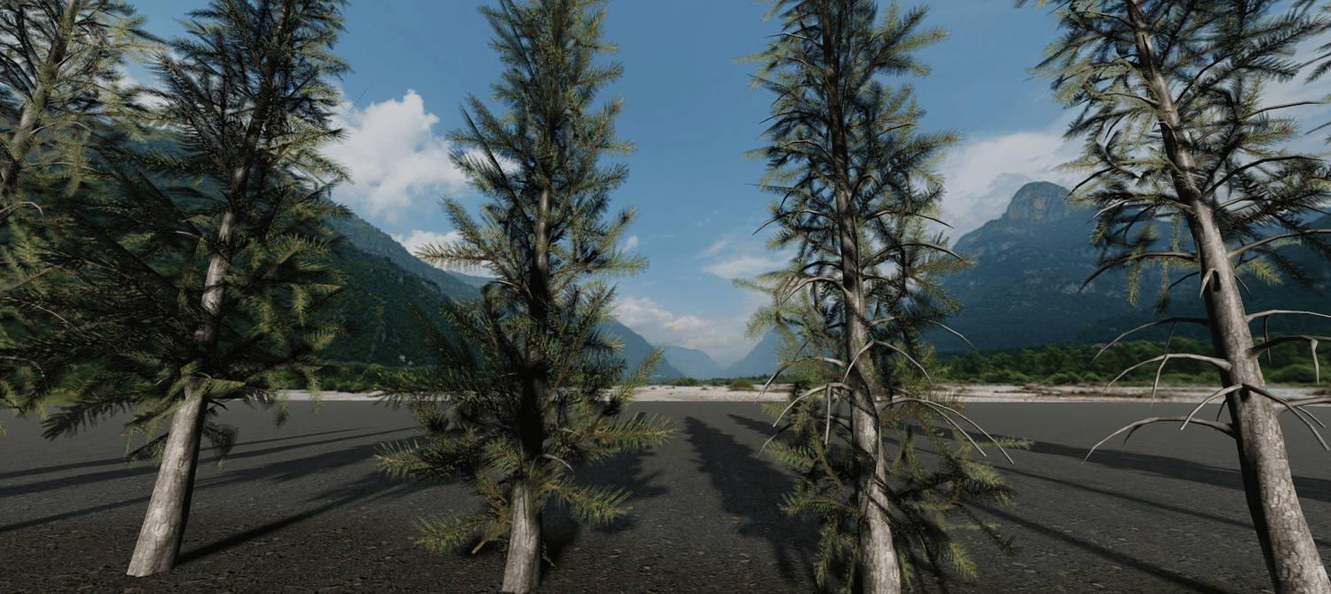 D&M Production - Realistic Nature Assets