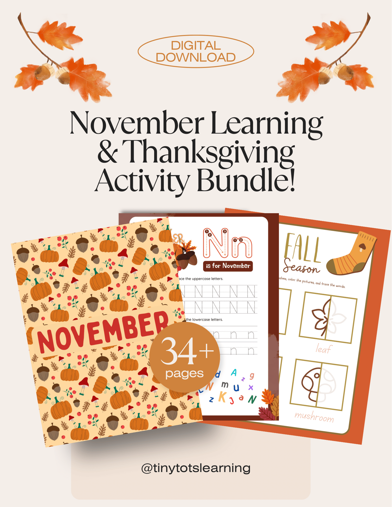 November Learning & Thanksgiving Activity Bundle🍁 - Payhip