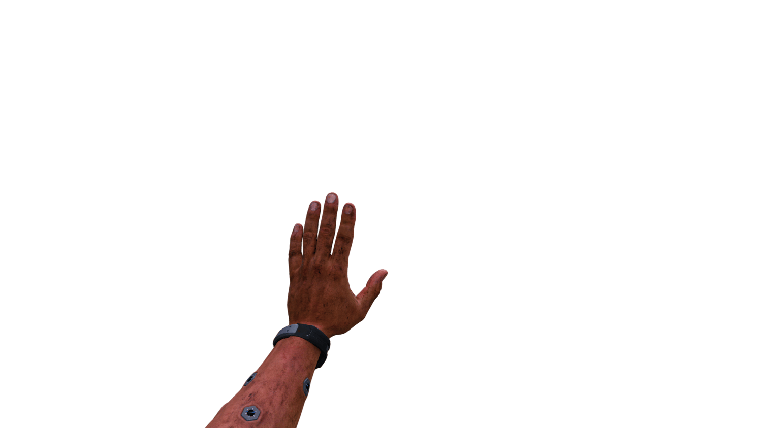 Wait Hand Gesture