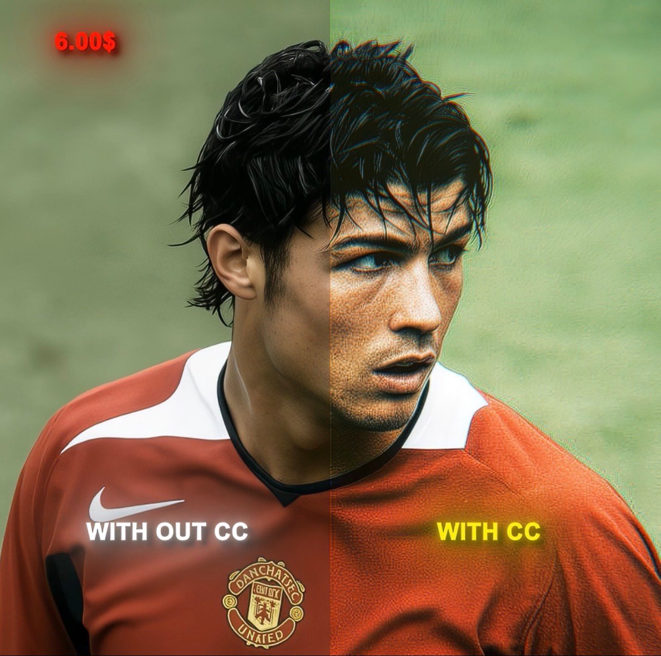 TAYO HOLLYWOOD CC - Payhip