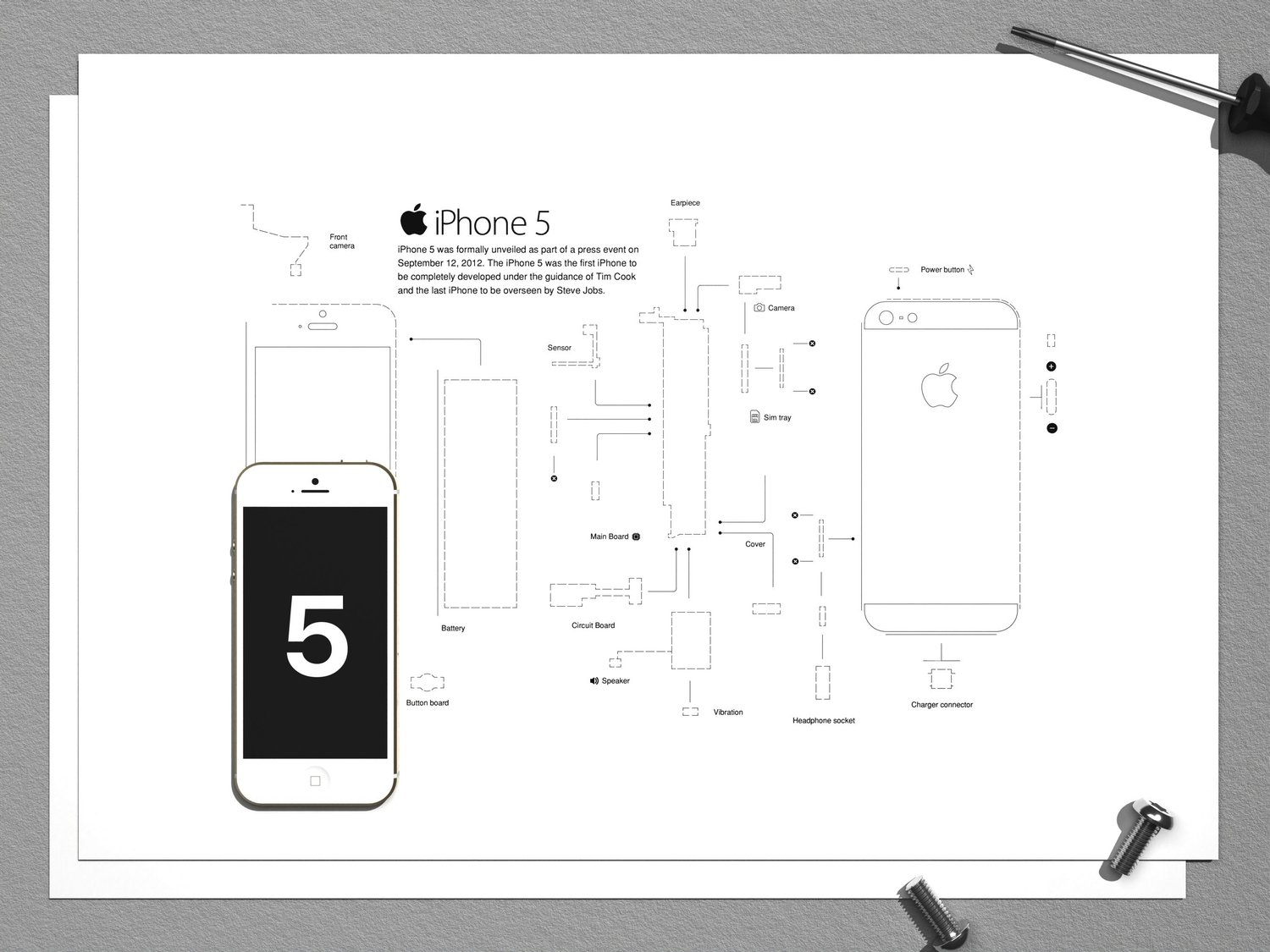 iPhone XR Teardown Template