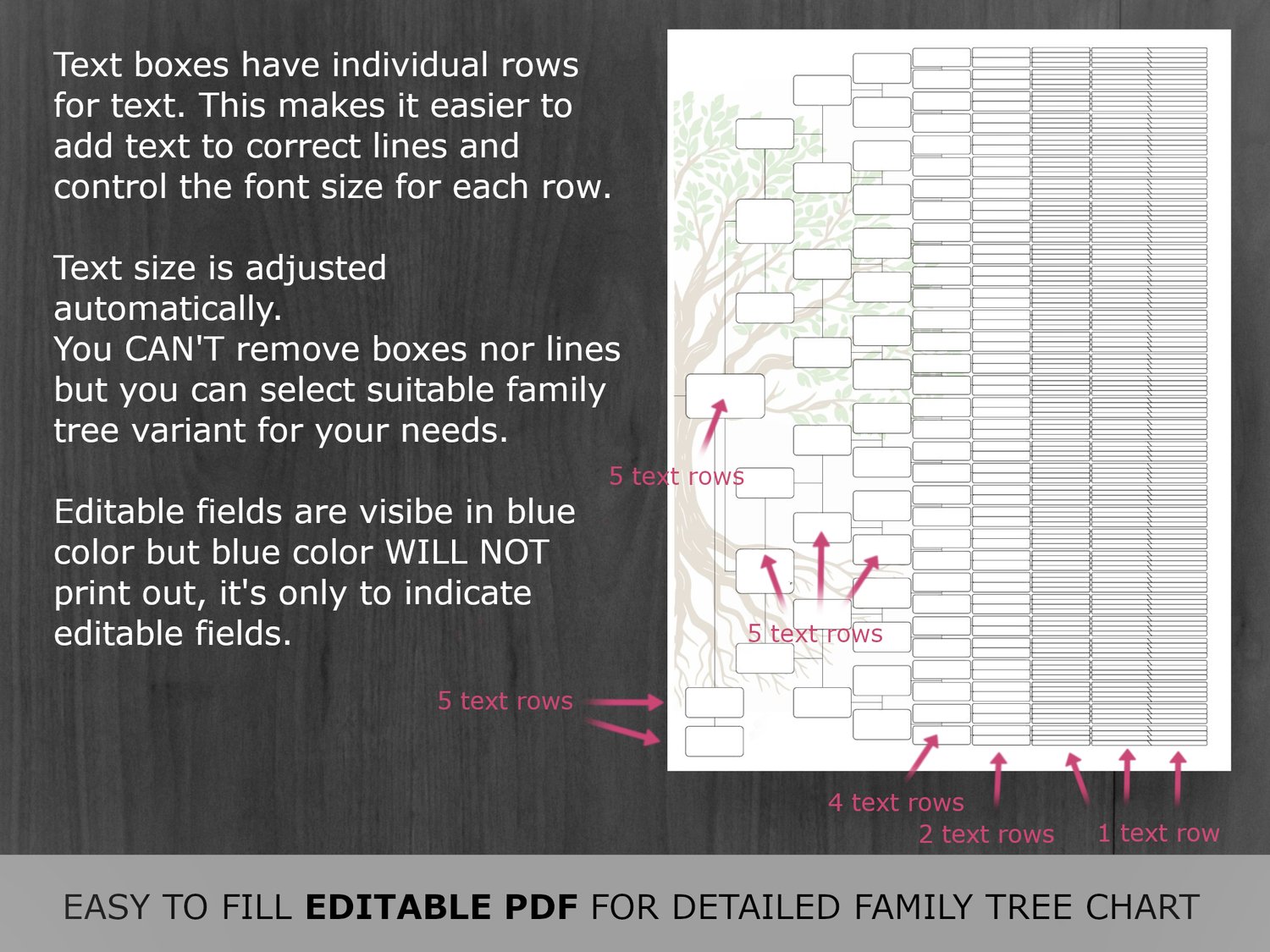 Divided 9 Generation Family Tree Chart with Children: Printable and ...
