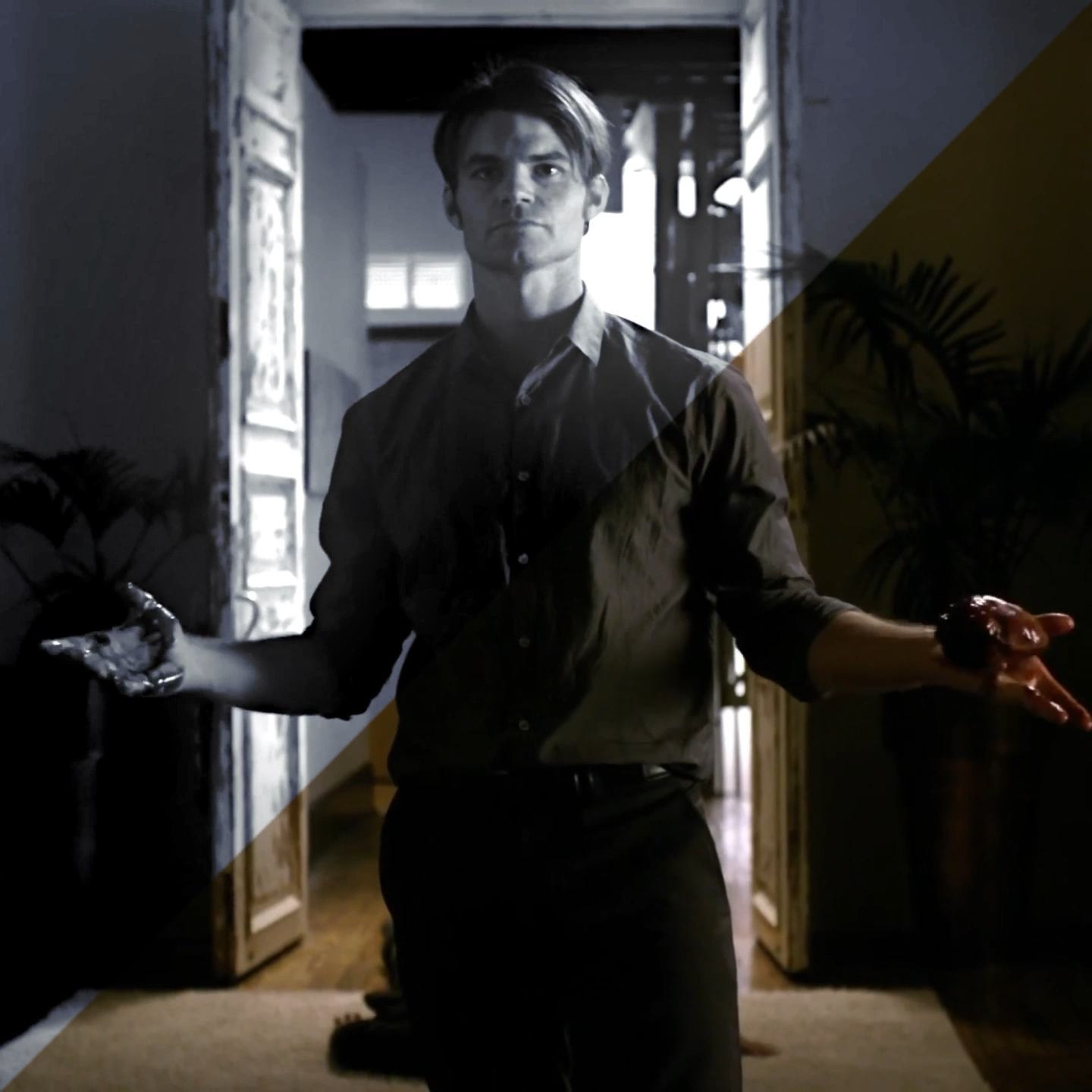 Salvatore cc - Payhip