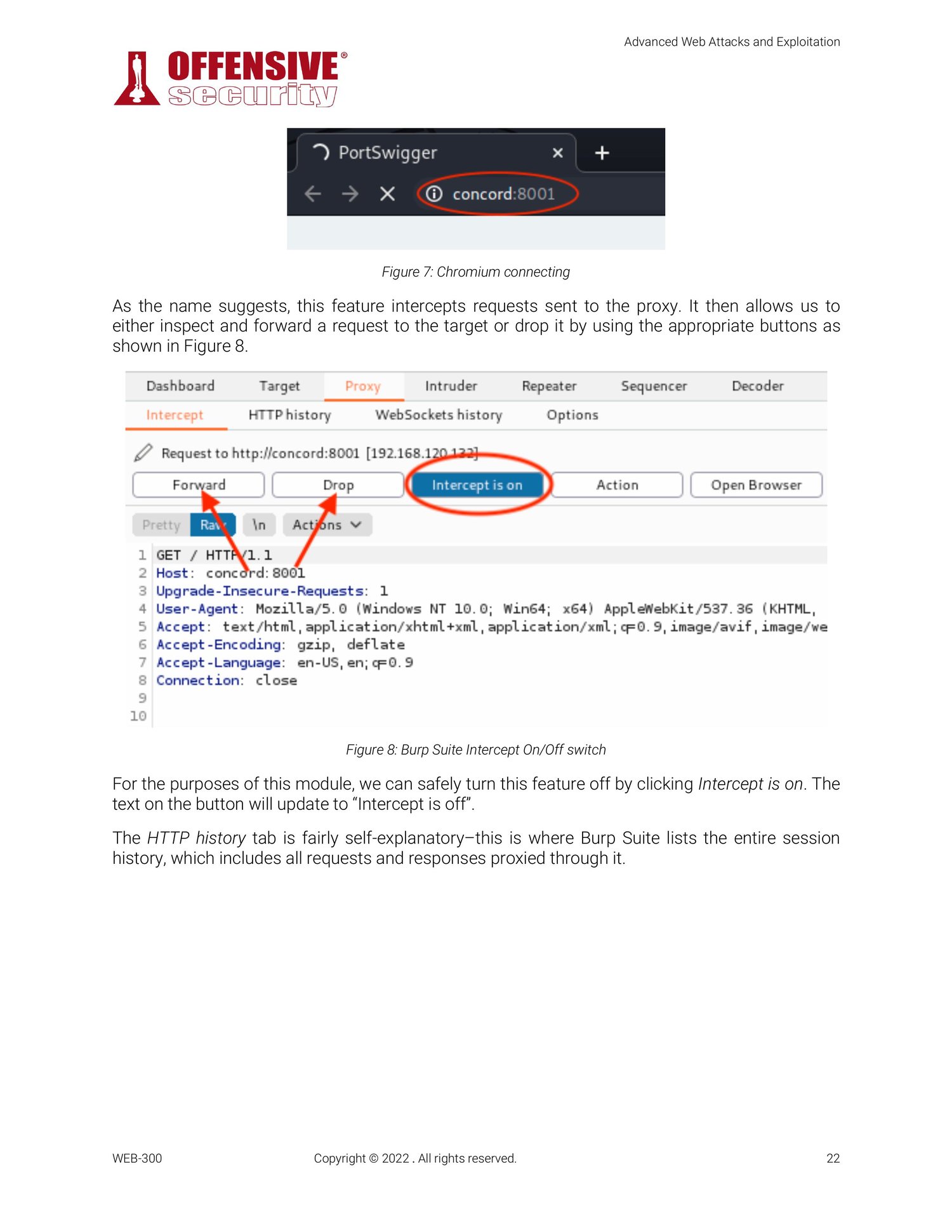 Web Attacks - Payhip