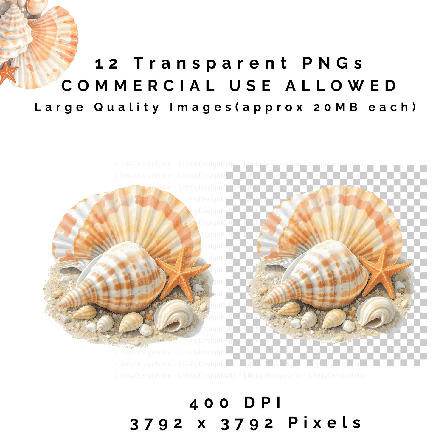 Sea Shells Clipart Set, Seashell Clipart for Coastal Decor & Art Prints