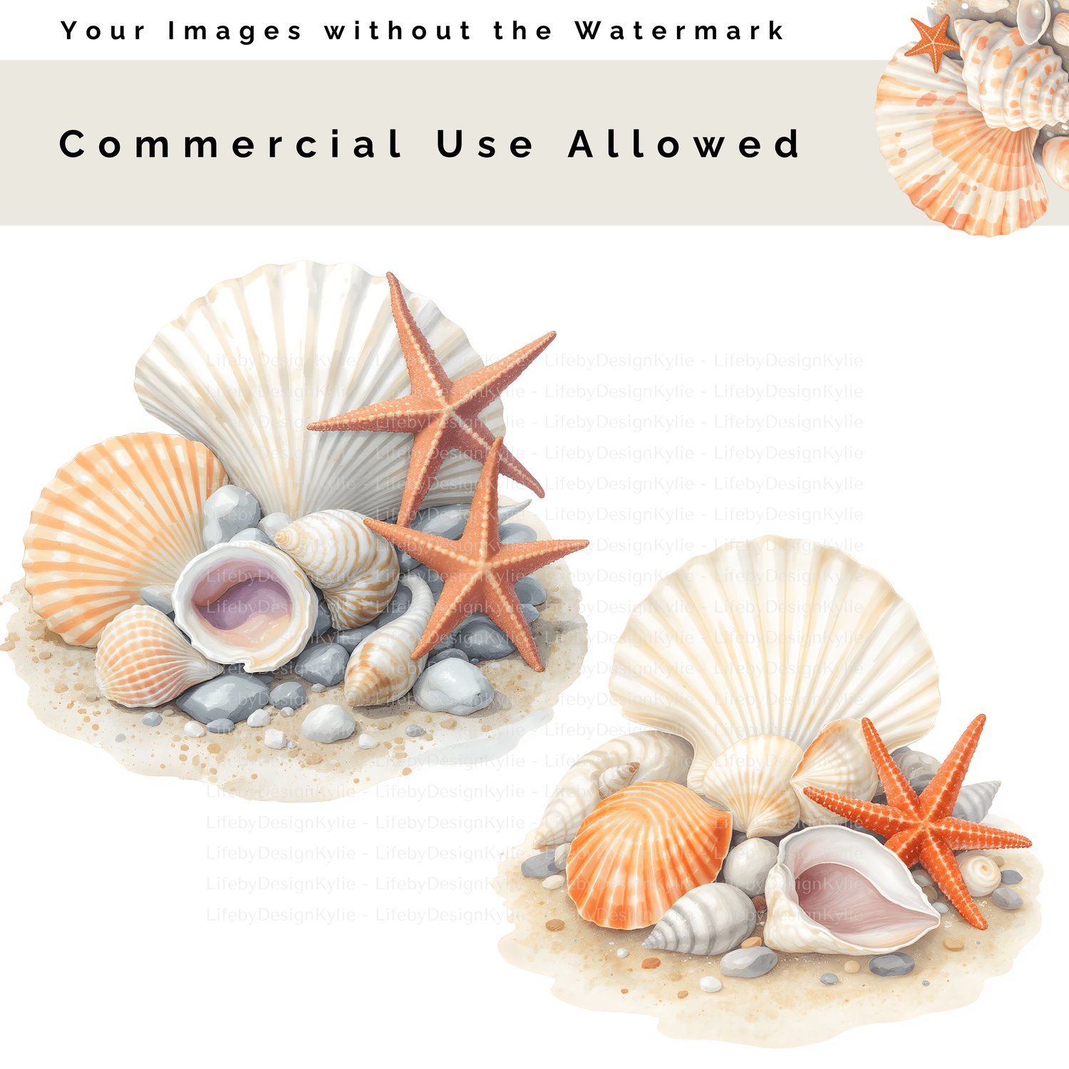 Sea Shells Clipart Set, Seashell Clipart for Coastal Decor & Art Prints