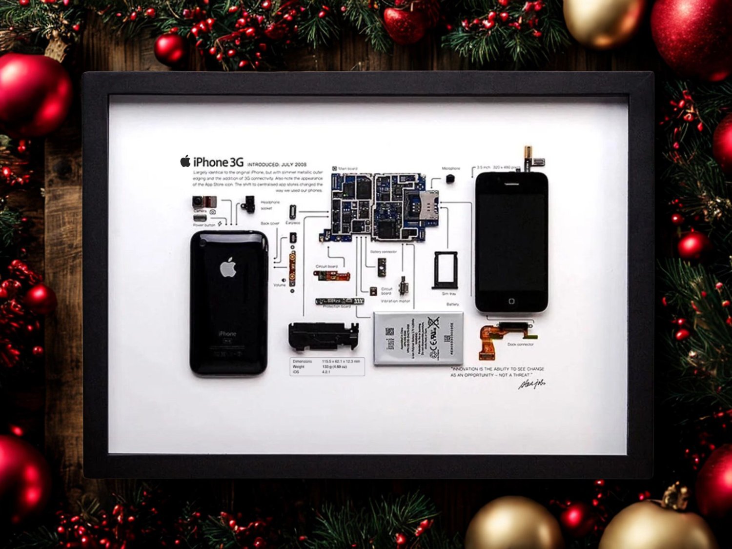 iPhone 3G Teardown Template