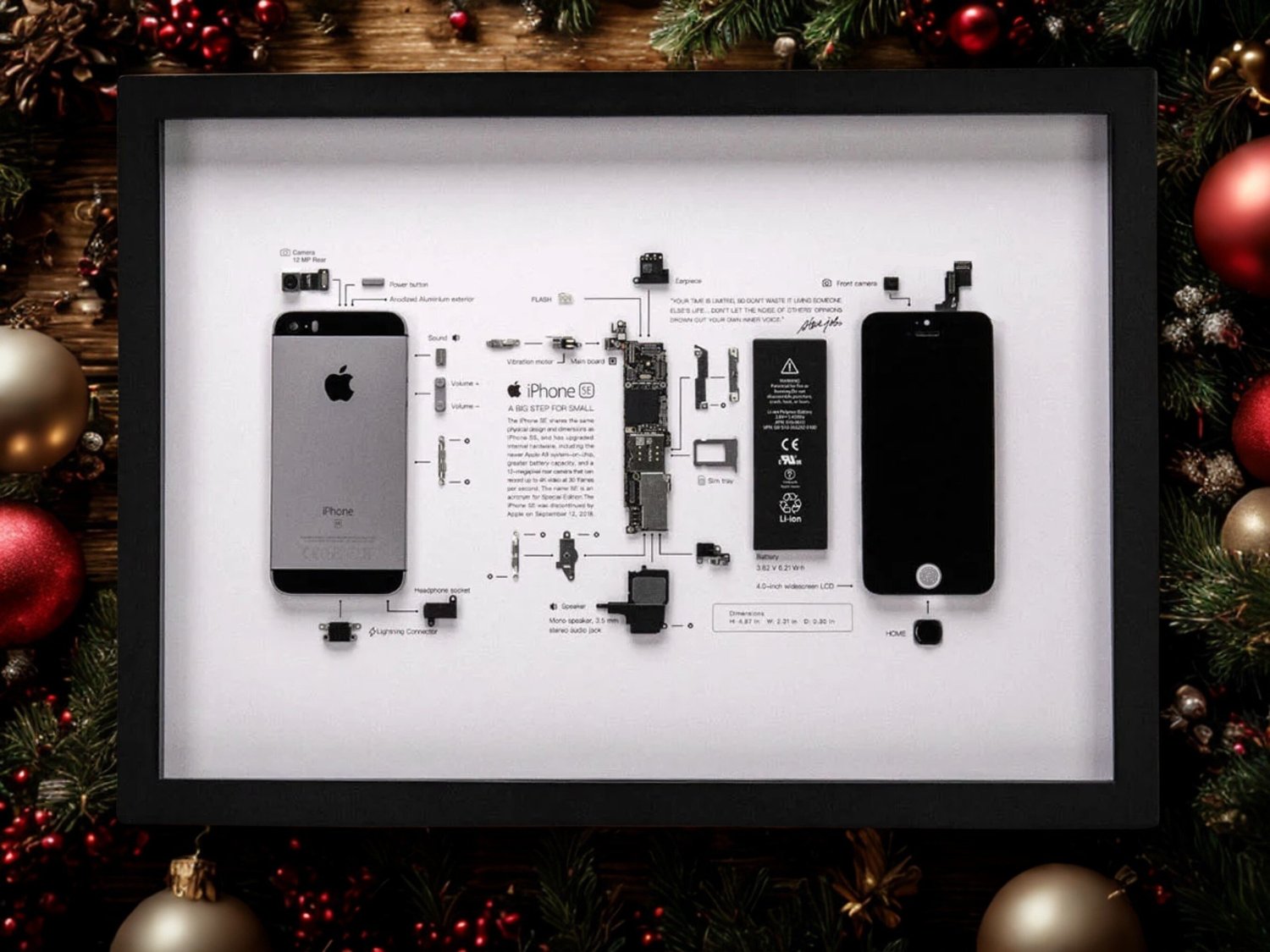 iPhone SE 1st Generation Teardown Template
